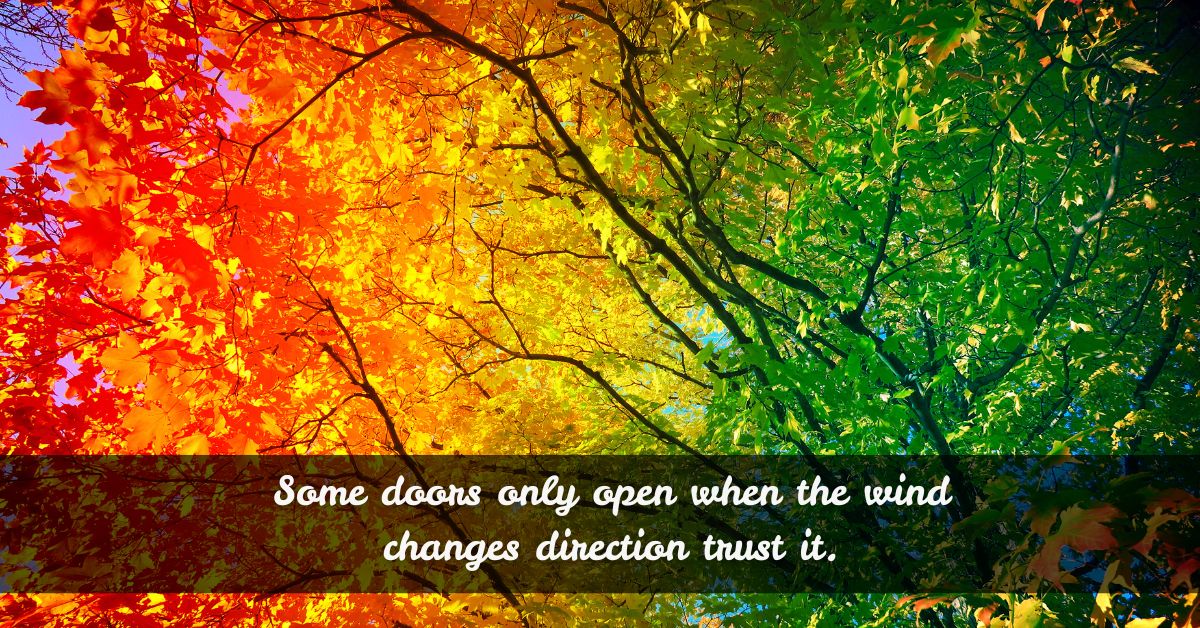 120 Seasons Change Quotes To Inspire Seasons Of Life - Heart Notez